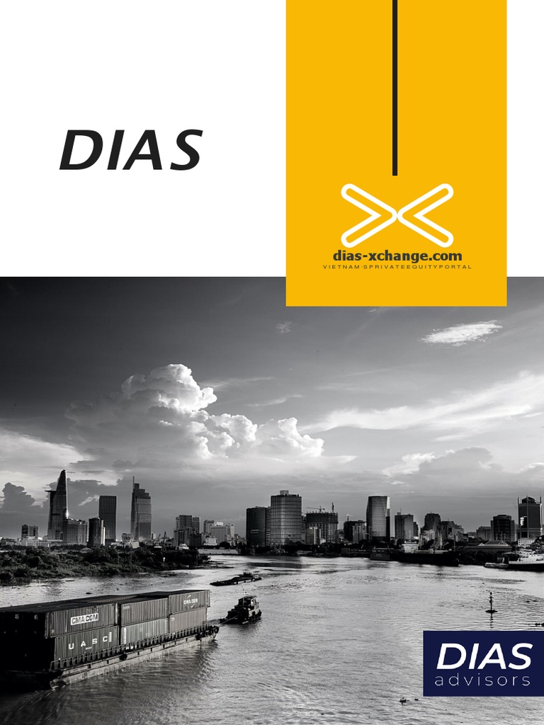 Dias Information File | PDF | Investor | Private Equity