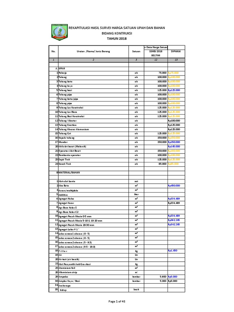 Rab Pak Novrizal | PDF