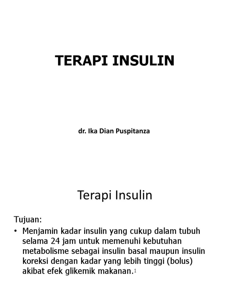Terapi Insulin | PDF