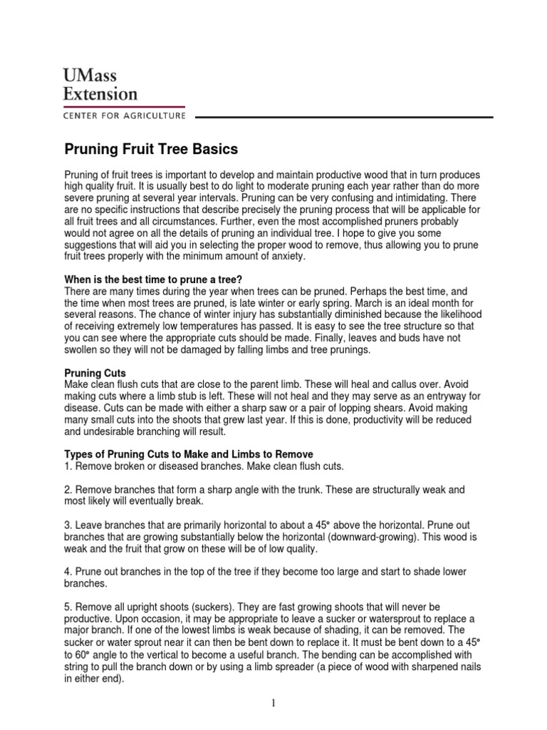 Basics For Pruning Trees 10 | PDF | Pruning | Trees