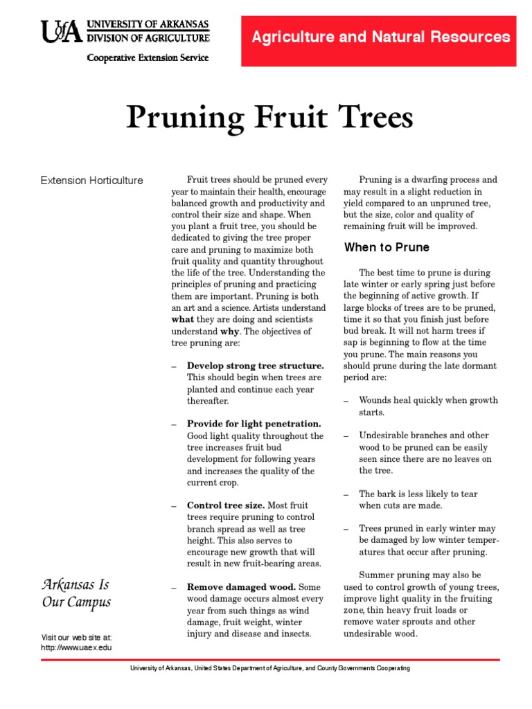 Pruning Fruit Trees: Understanding the Principles and Objectives of ...