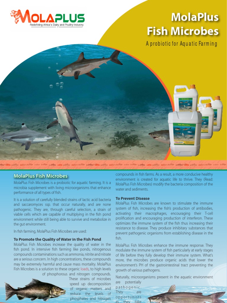 Molaplus Fish Microbes Brochure1 | PDF | Microorganism | Immune System