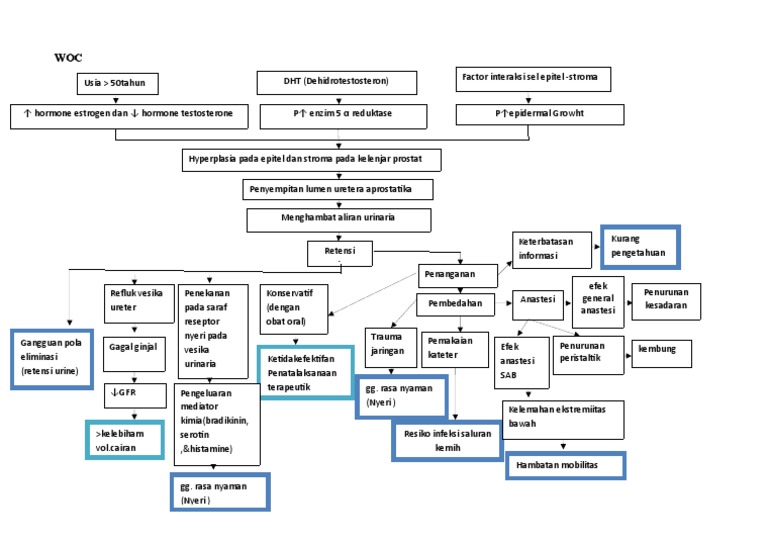 Woc BPH Dan MPH | PDF
