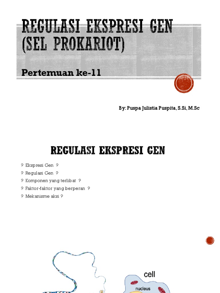 11 Regulasi Ekspreksi Gen | PDF | Operon | Repressor