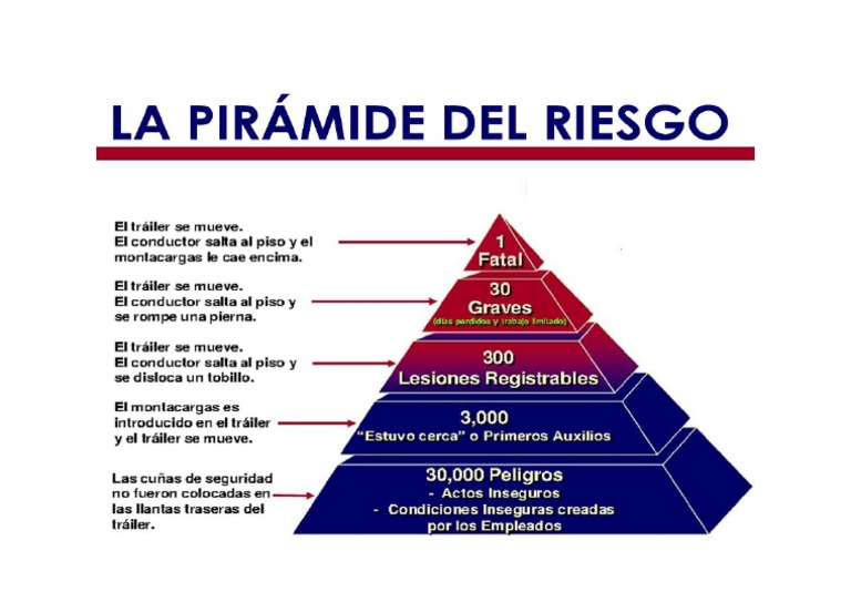 Piramide de Bird Ejemplo | PDF