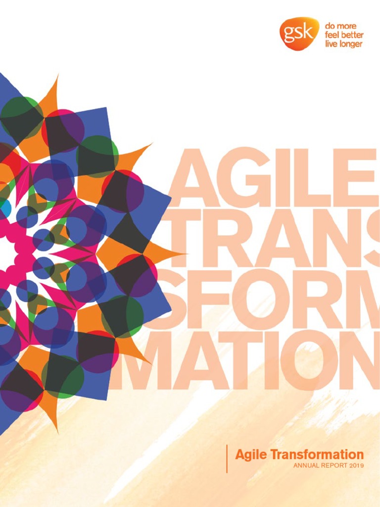 GSK Annual Report 2019 | PDF | Glaxo Smith Kline | Corporate Governance