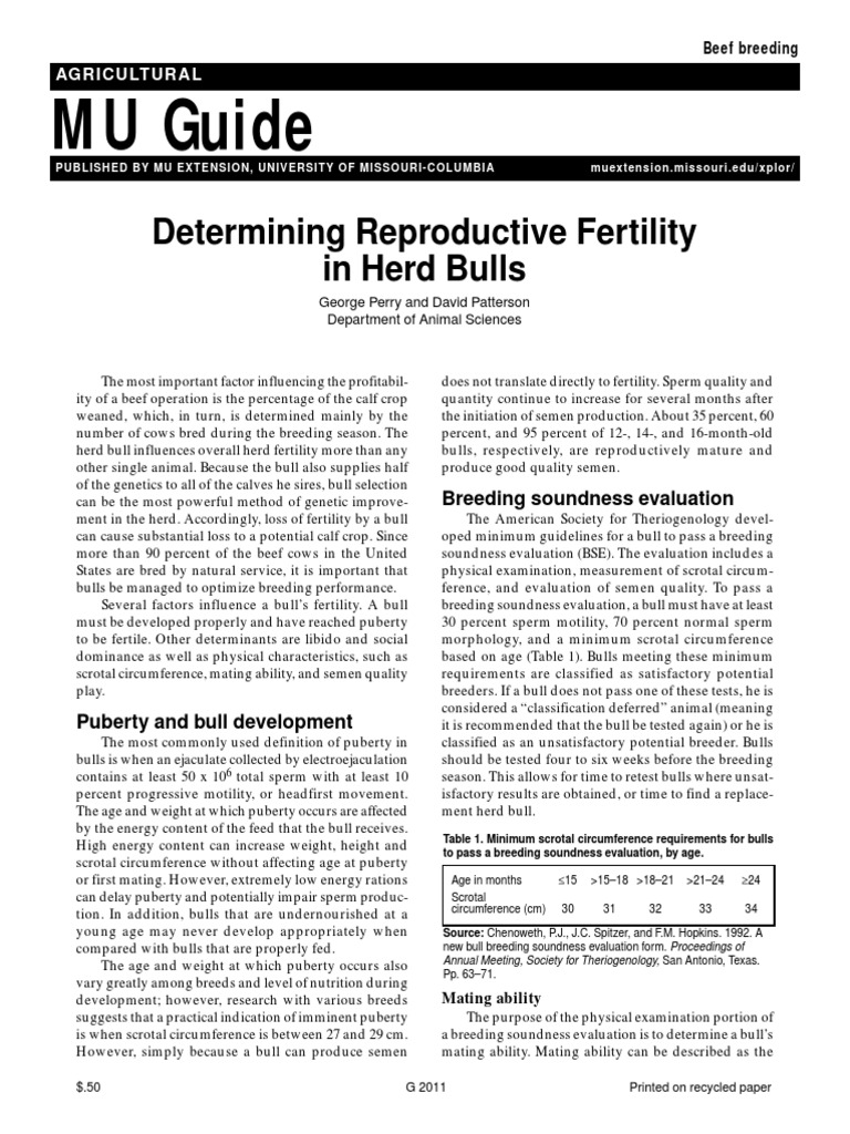 MU Guide: Determining Reproductive Fertility in Herd Bulls | PDF ...