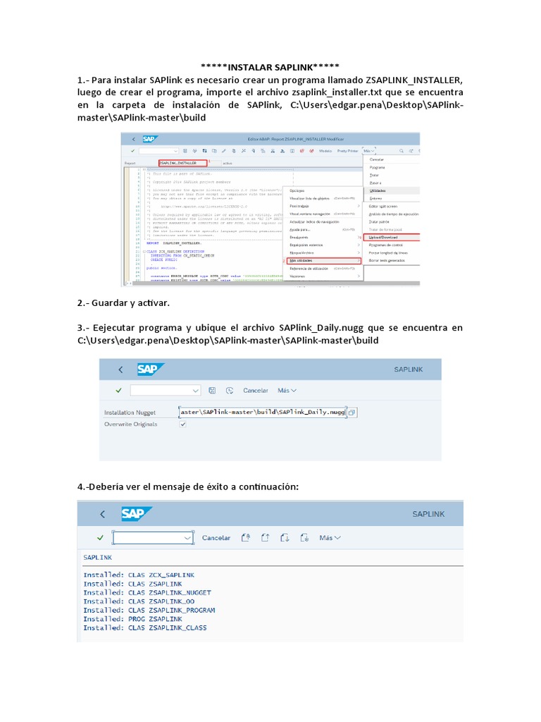 Instalar Saplink | PDF