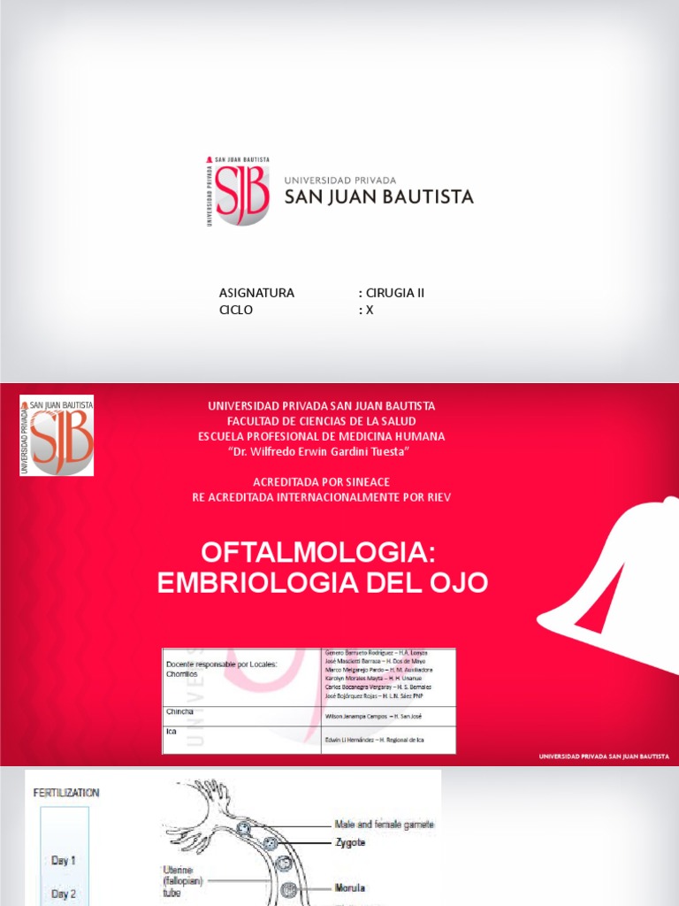 Embriologia Del Ojo y Anexos - Upsjb | PDF