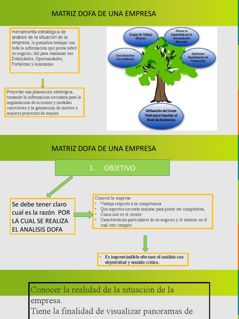 Presentación Matriz Dofa | PDF | Análisis FODA | Economias
