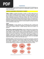 Puerperio Fisiologico, Inmediato, Mediato y Tardio | PDF | Periodo ...