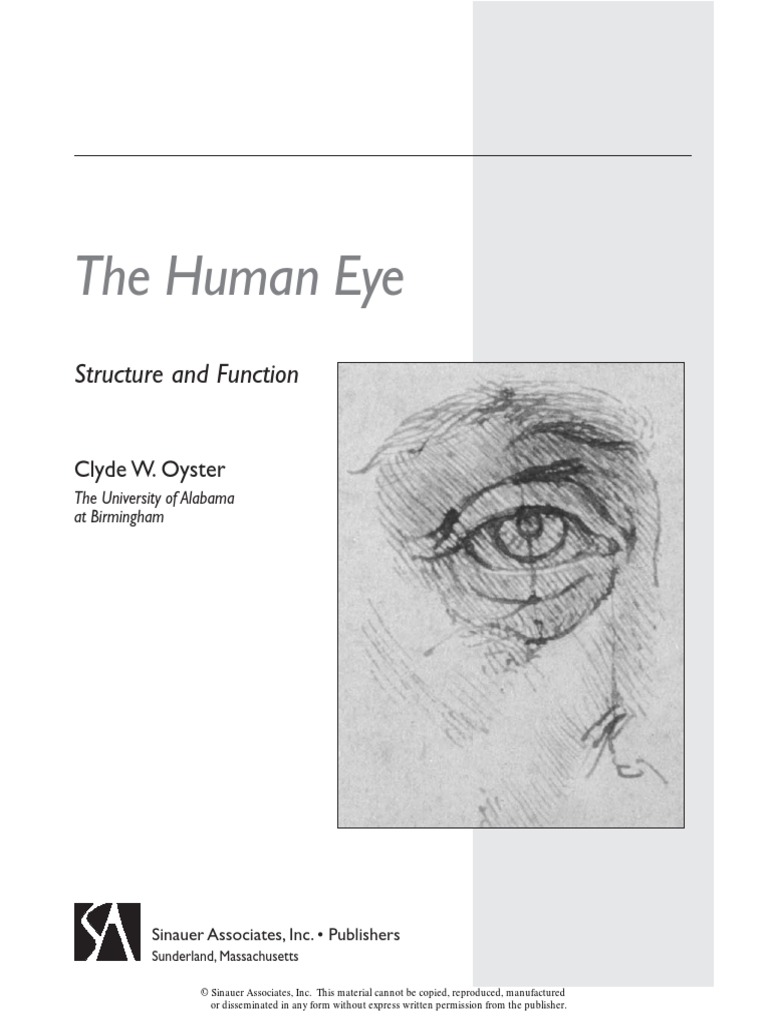 The Human Eye: Structure and Function | PDF | Cornea | Nerve