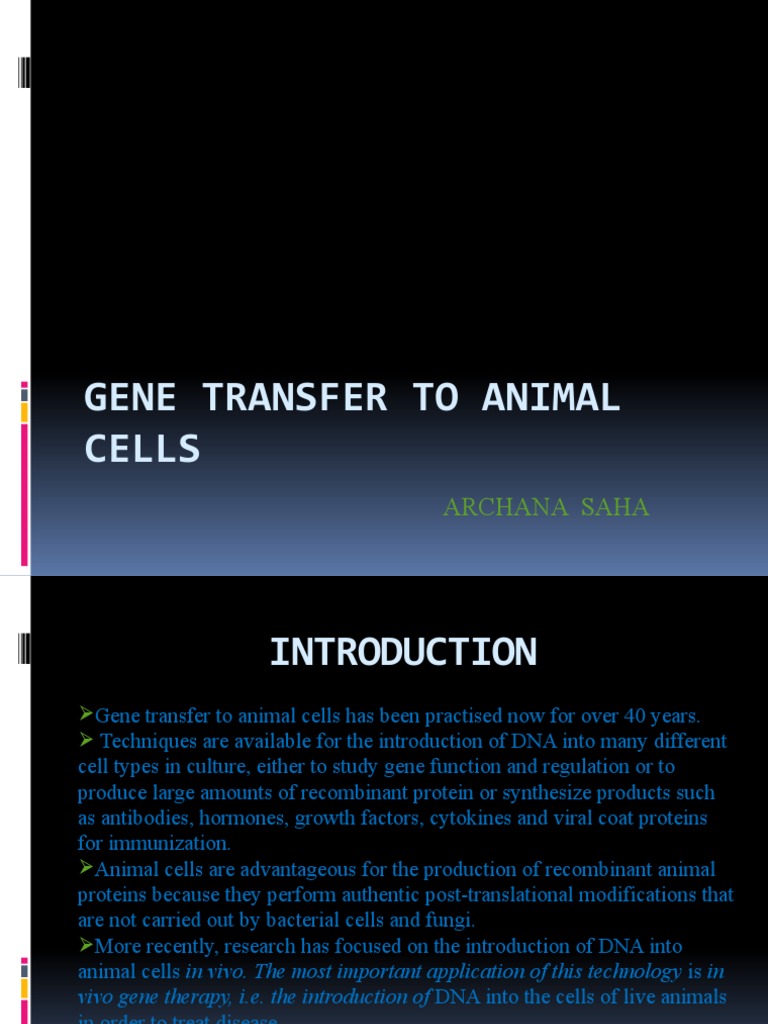 Gene Transfer Techniques in Animals | PDF | Transfection ...