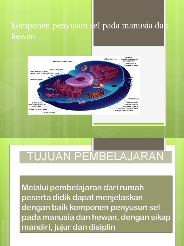 Komponen Penyusun Sel Pada Manusia Dan Hewan | PDF