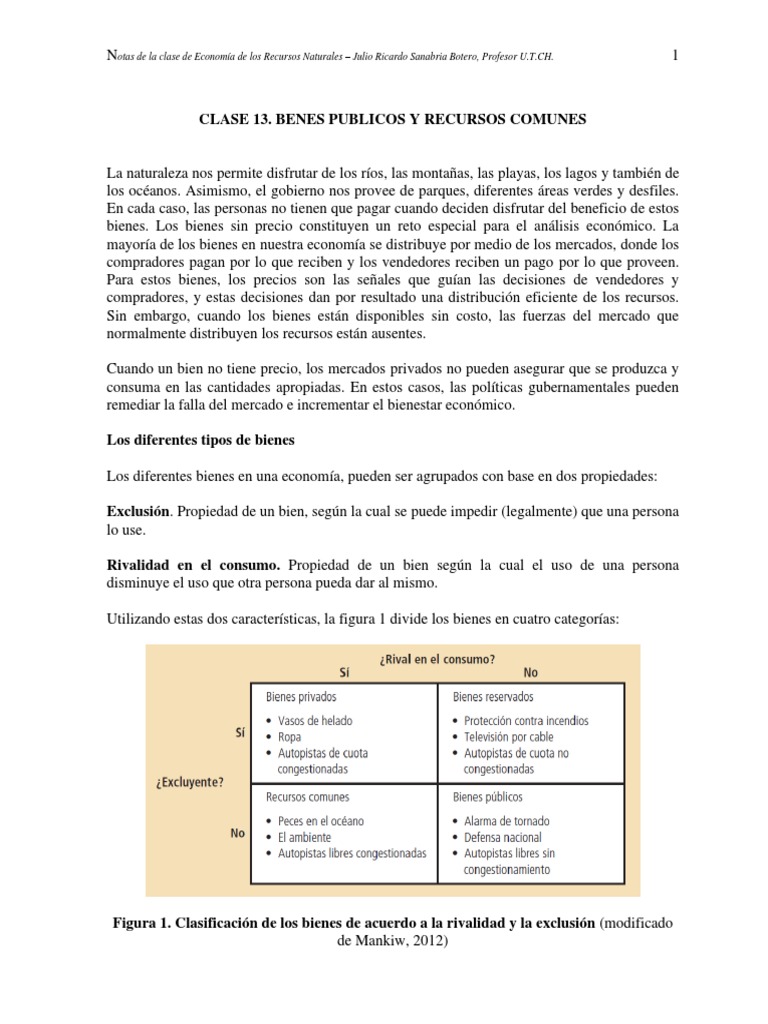 Clase 13 Bienes Publicos y Recursos Comunes | PDF | Bienes | Exterioridad