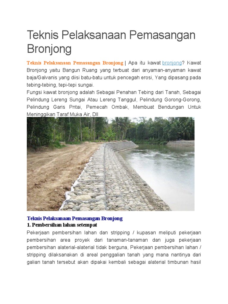 Teknis Pelaksanaan Pemasangan Bronjong | PDF