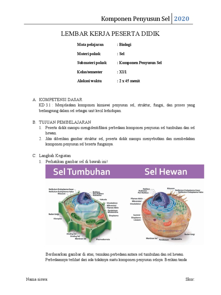 Komponen Penyusun Sel Tumbuhan dan Hewan | PDF