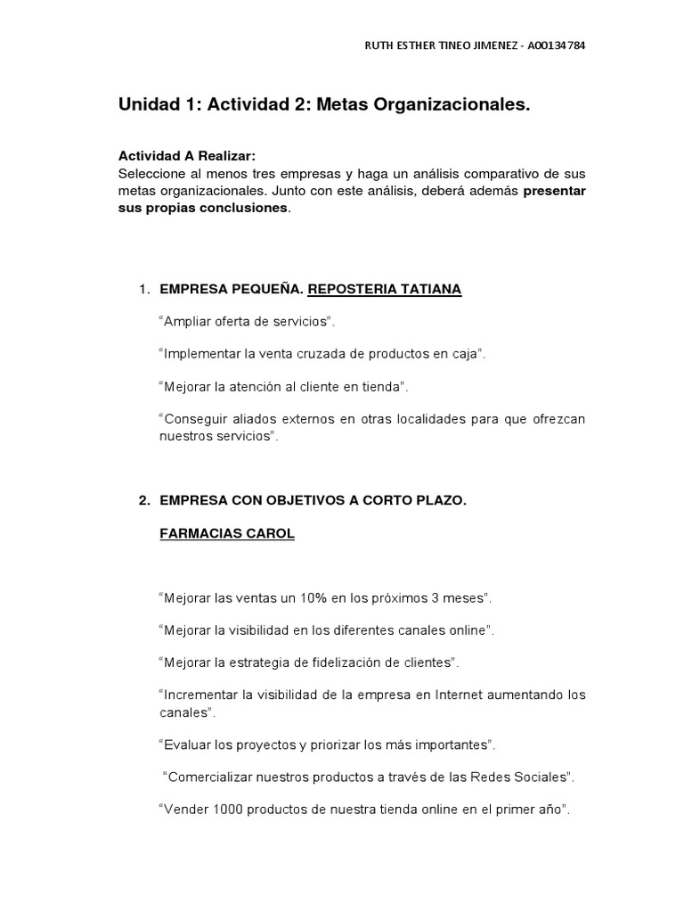 Metas Organizacionales | PDF