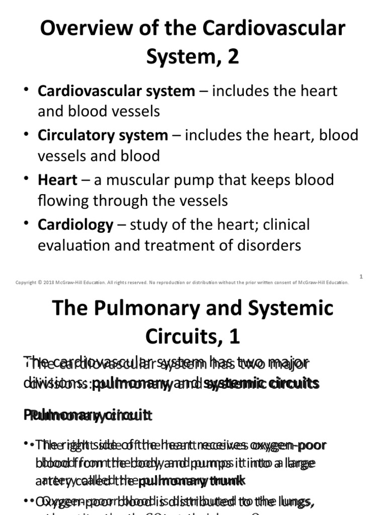 CH 13 Cardiovascular System Lecture - ACCESS - EDITS | PDF | Heart ...