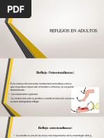 Reflejos Superficiales y Profundos | PDF | Codo | Pie