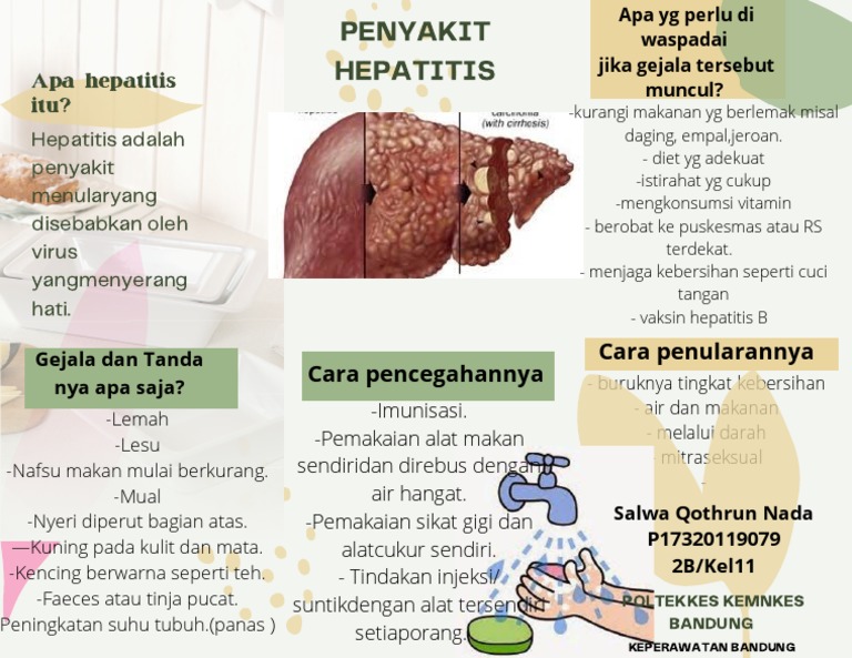 Leaflet Hepatitis | PDF