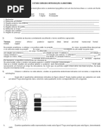 Apostila Precórdio | PDF | Ventrículo (coração) | Átrio (coração)