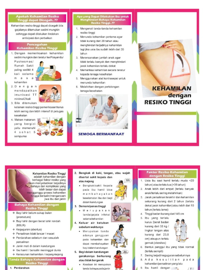 Leaflet Kehamilan Risiko Tinggi | PDF