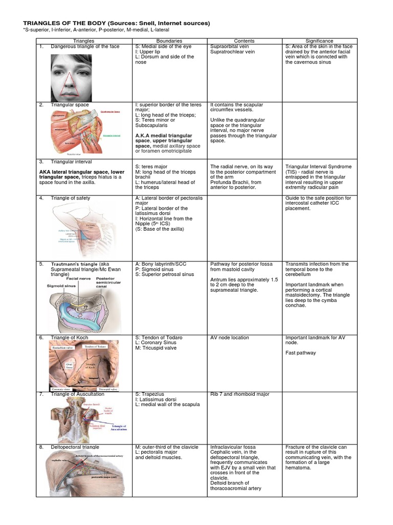 TRIANGLES OF THE BODY KEY ANATOMICAL LANDMARKS | PDF | Pelvis | Lower ...