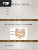 Thorax PA, AP Dan Lateral, RLD Dan LLD | PDF