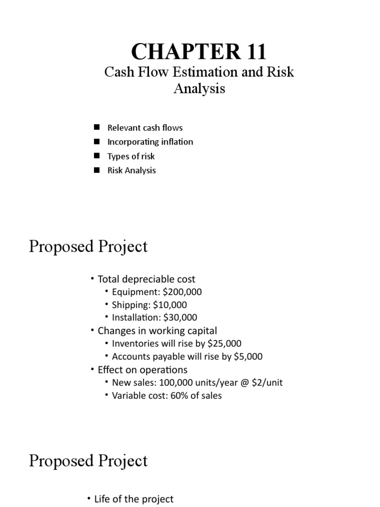 Cash Flow Estimation and Risk Analysis | PDF