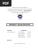 Entrada y Salida de Datos en Programación | PDF