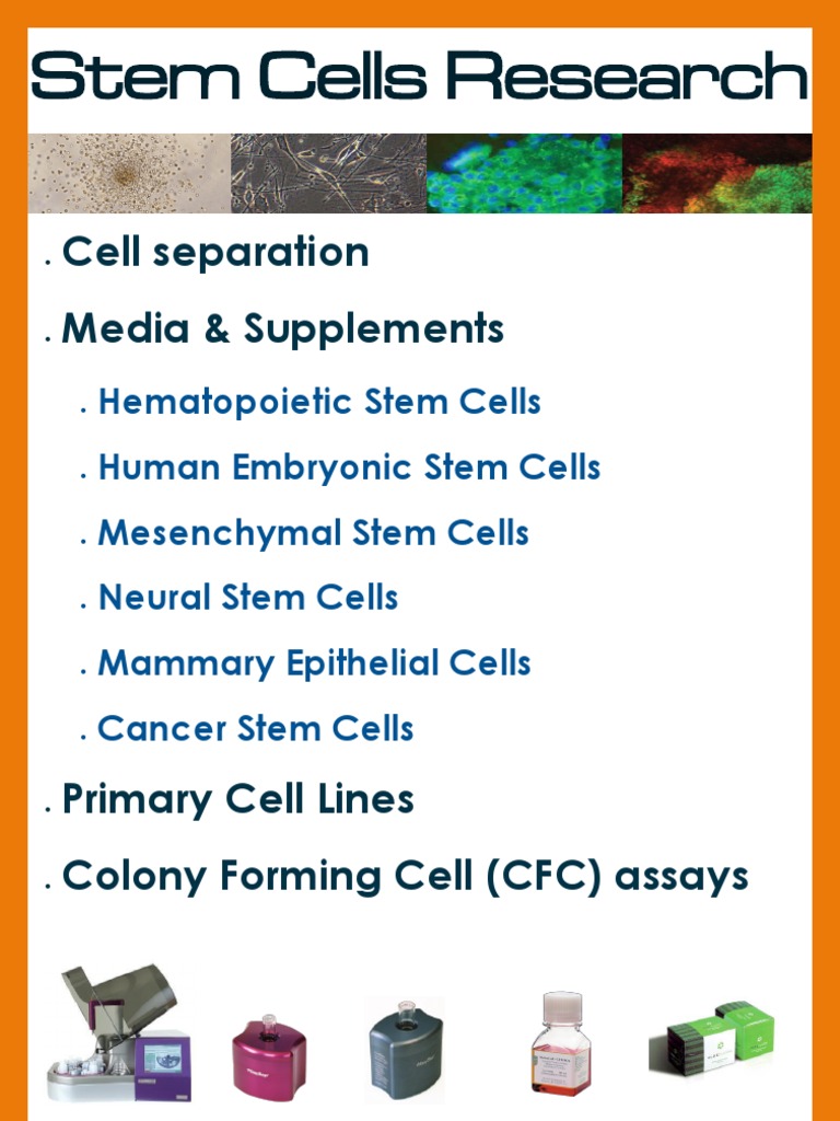 Stem Cells Poster | PDF | Science & Mathematics