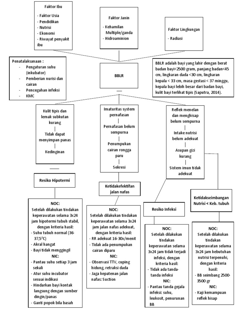 Mindmap BBLR Askep | PDF