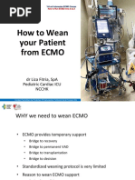 ECMO Basics for Medical Professionals | PDF | Circulatory System ...