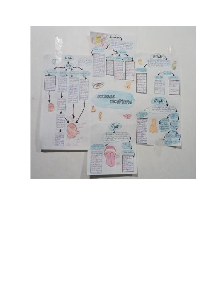 Mapa Mixto Ciencias Naturales | PDF