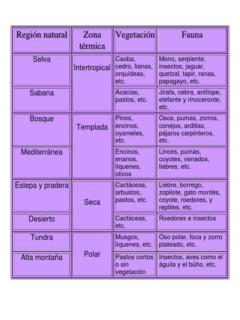 Regiones Naturales Del Mundo | PDF