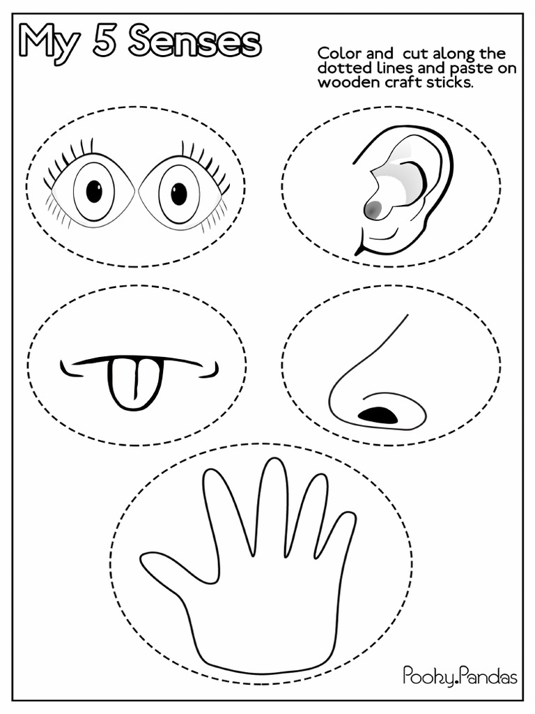 5 Senses Stick Puppets | PDF