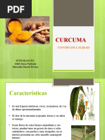Sacha Culantro | PDF | Hierbas y especias | Alimentos