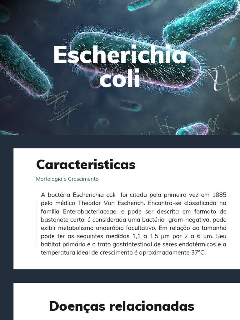 Escherichia Coli | PDF | Escherichia Coli | Infecção do trato urinário