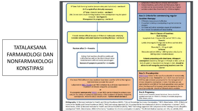 Tatalaksana Konstipasi | PDF