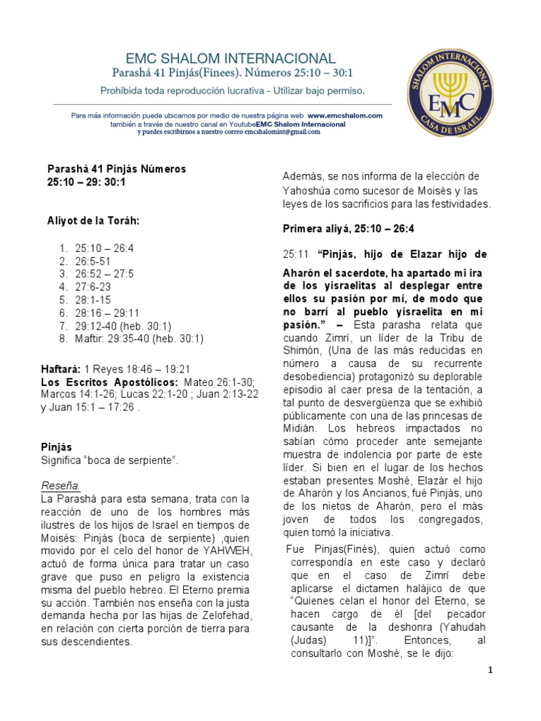 41.parash - 41 - Pinjas | PDF | Korban | Moisés