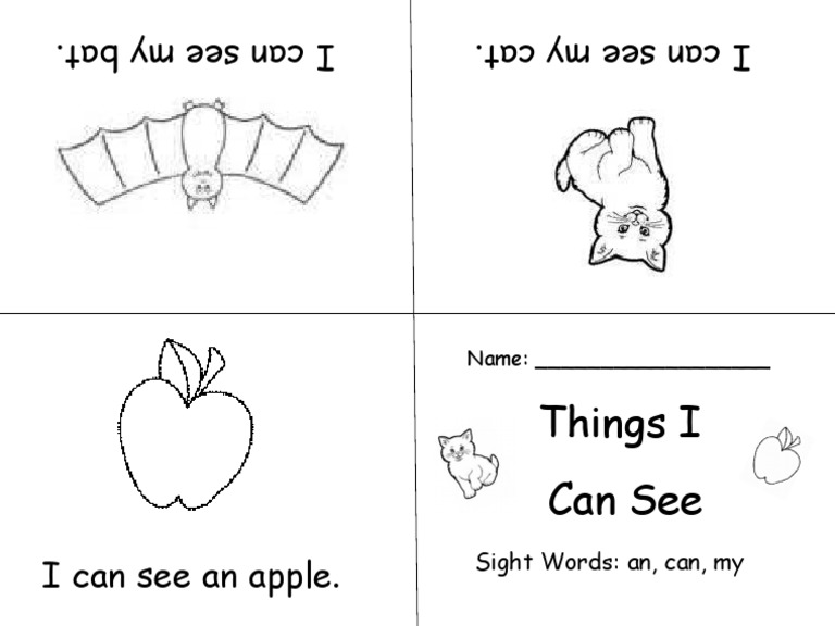 Sight Words Books - An, Can, My | PDF