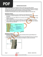 Compound Microscope Practical Guide | PDF | Scientific Techniques | Lenses