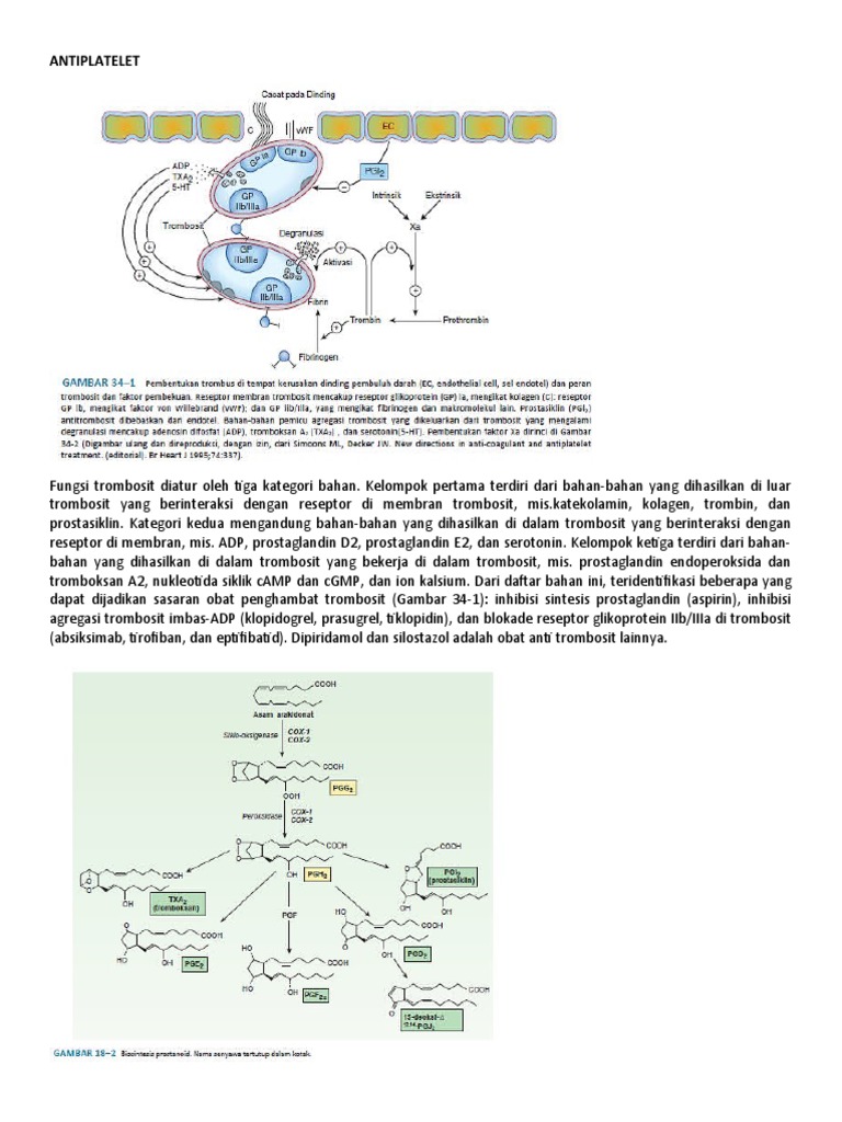 Mekanisme Obat ANTIPLATELET | PDF