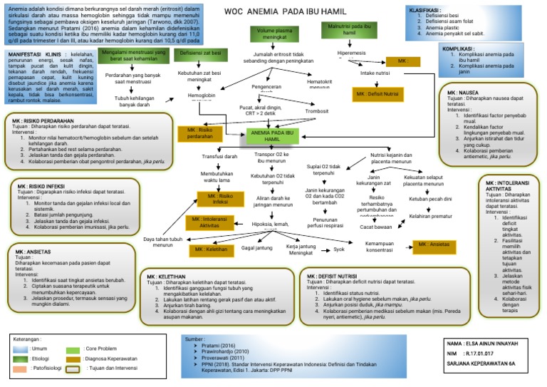 ElsaAI - WOC (Anemia Pada Ibu Hamil) | PDF