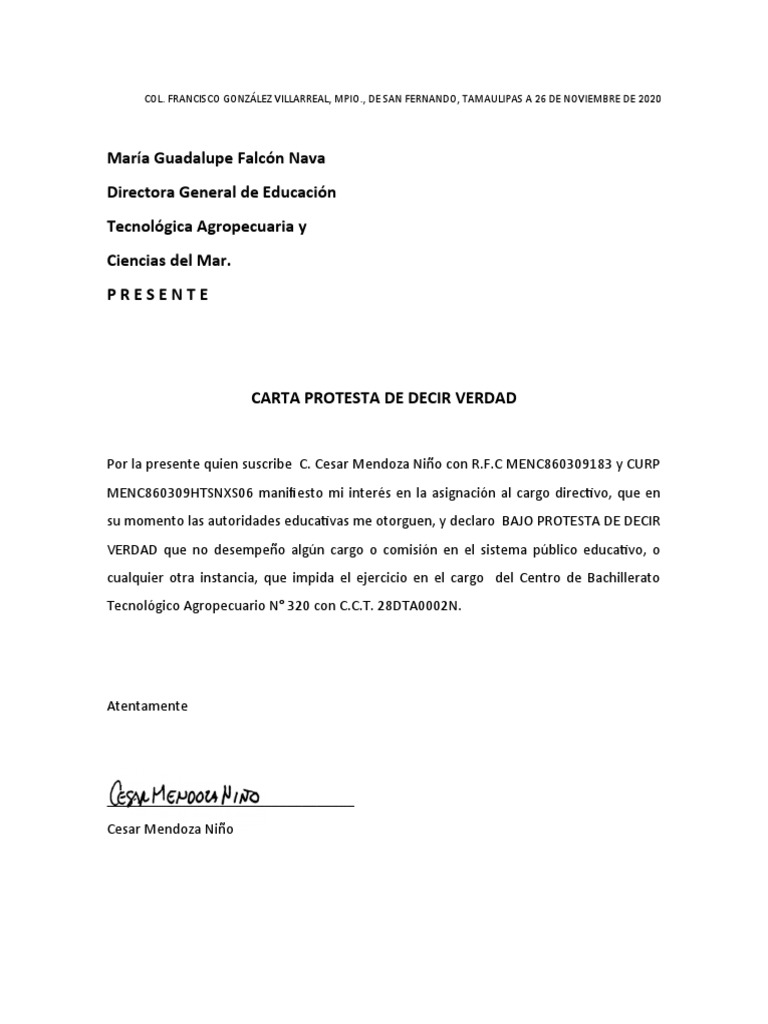 EJEMPLO Carta Bajo Protesta Decir Verdad | PDF