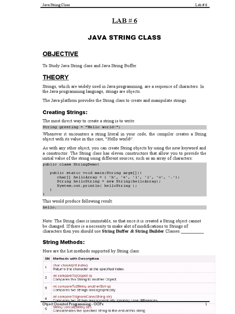 Java Lab 6 String Pdf String Computer Science Constructor Object Oriented Programming