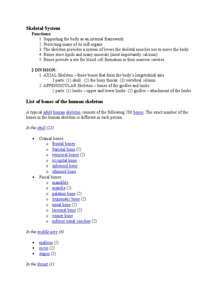 List of Bones of The Human Skeleton | PDF | Skull | Skeleton