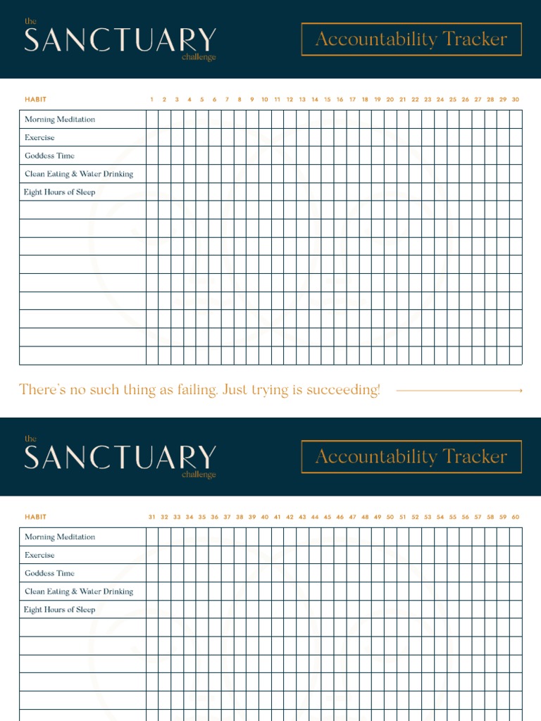 Accountability Tracker | PDF