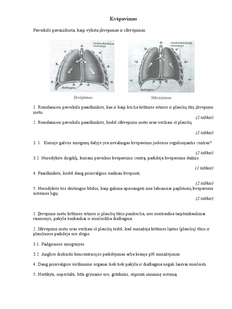 Kvepavimo Programa Uzduotys (Mokslobaze - LT) | PDF